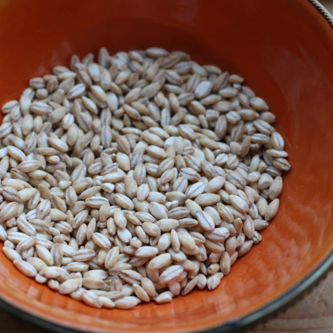 Rollgerste 1kg – SpeiseLokal!